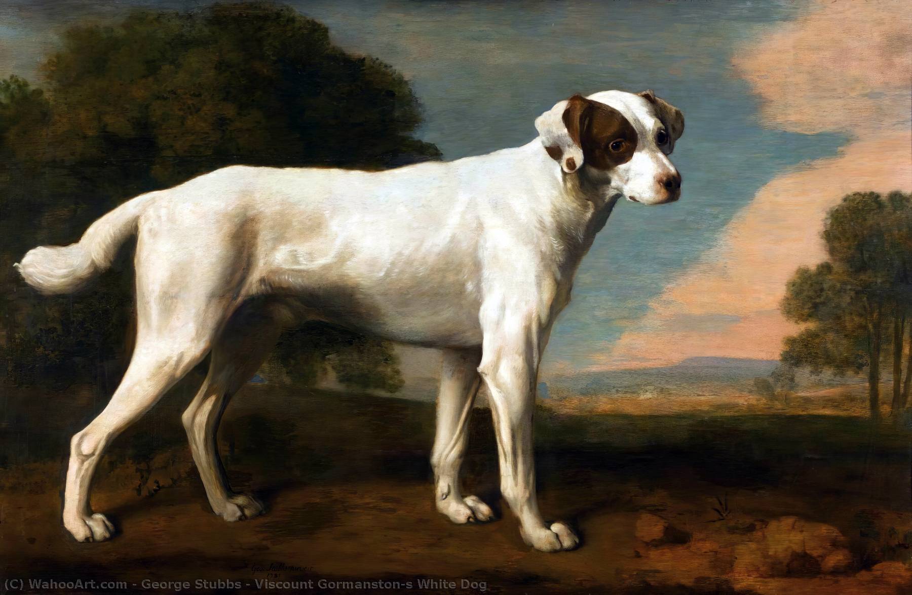 Get Paintings Reproductions Viscount Gormanston`s White Dog, 1781 by ...