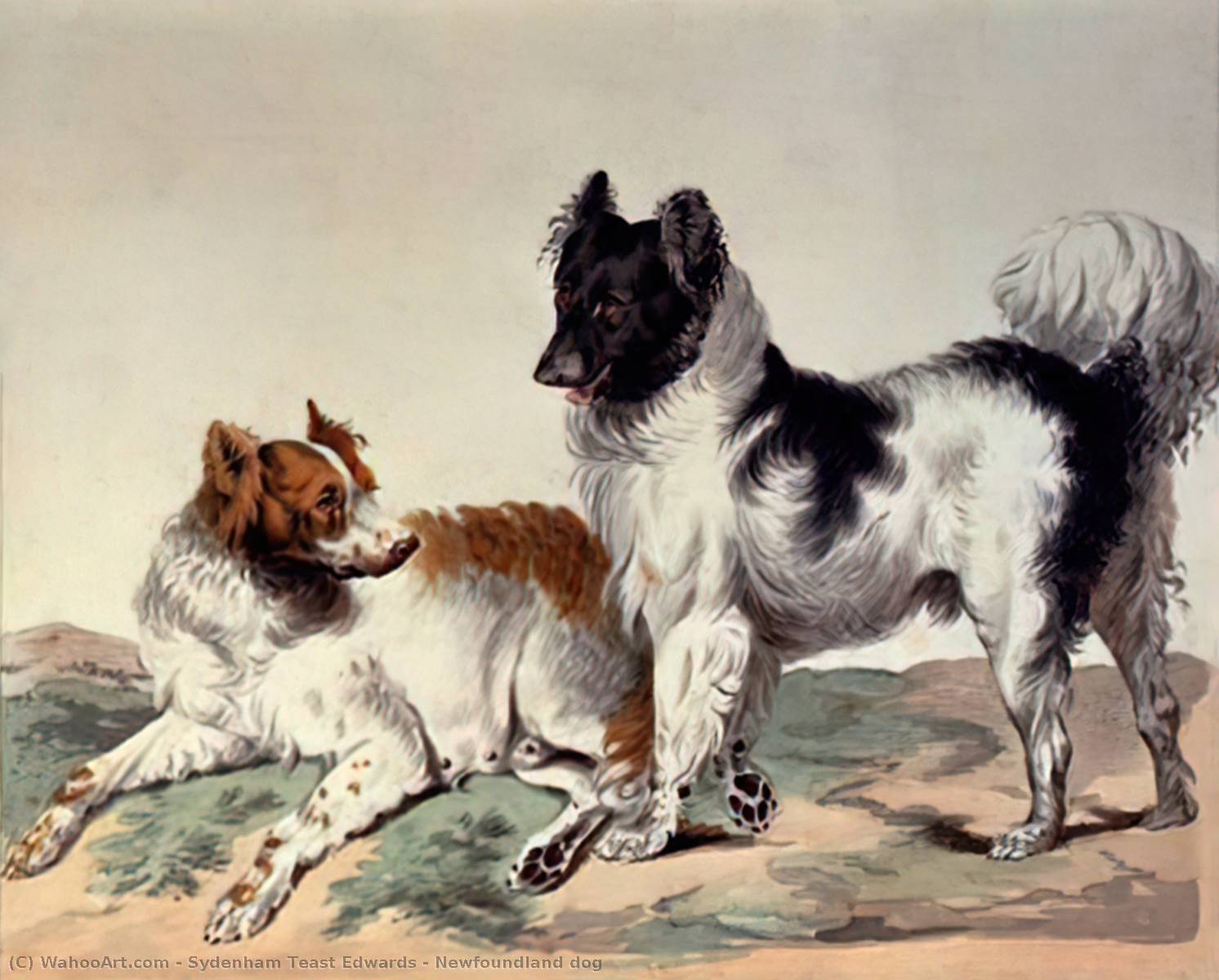 Reproducciones De Arte Del Museo Perro de Terranova de Sydenham Teast ...