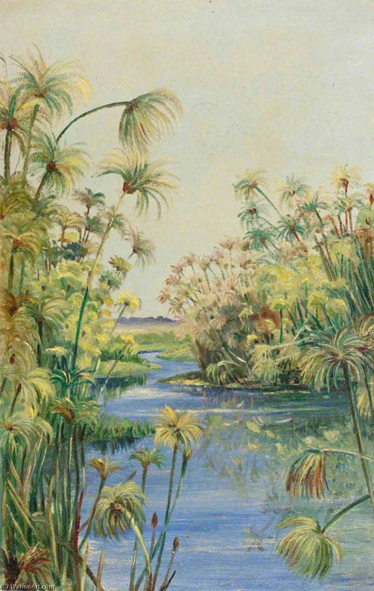 Artwork Replica Papyrus along the River Margins, 1870 by Marianne North ...
