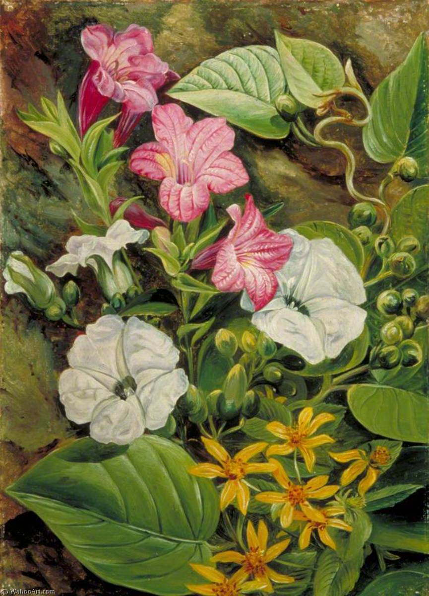Buy Museum Art Reproductions Some Brazilian Flowers, 1873 by Marianne ...
