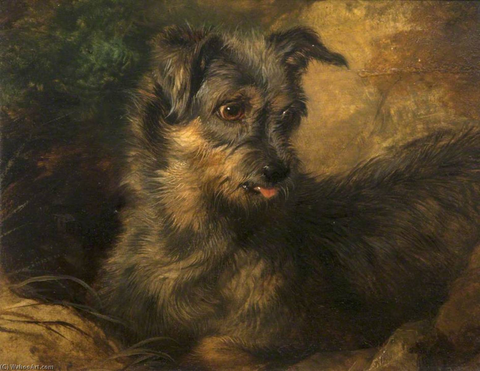 Comprar Reproducciones De Arte Del Museo `Ginger ` de Sir Edwin Henry Landseer (1802-1873 ...
