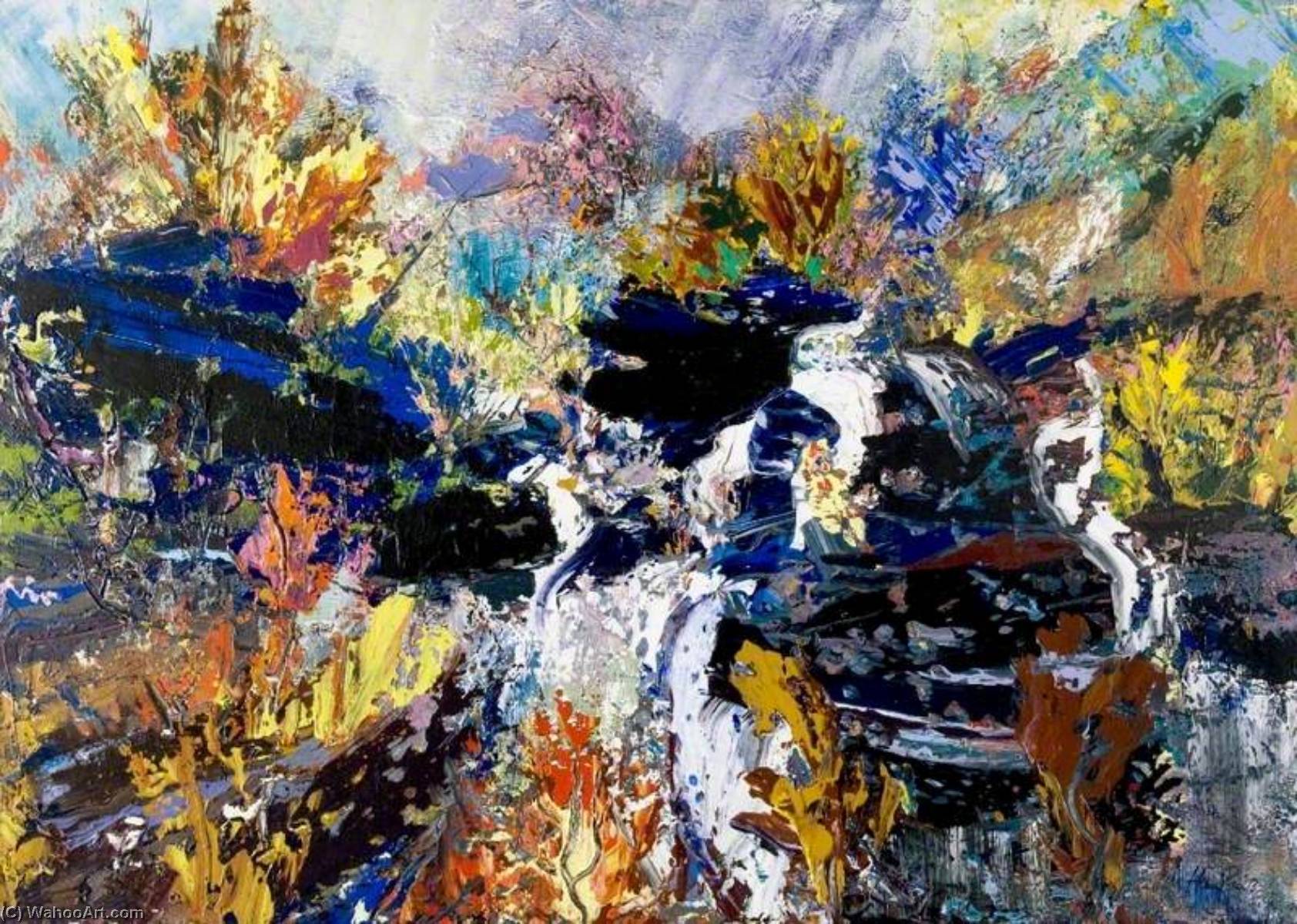 The Black Rock Falls, 1992 by James Hawkins James Hawkins | WahooArt.com