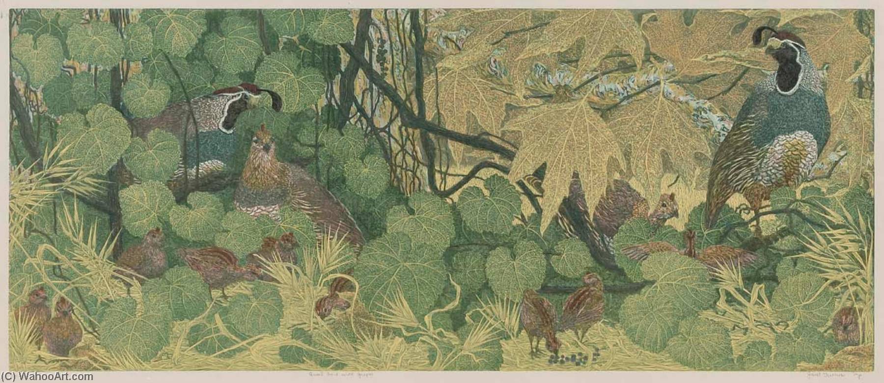 Reproducciones De Arte Del Museo Quail En Medio De Las Uvas Silvestres