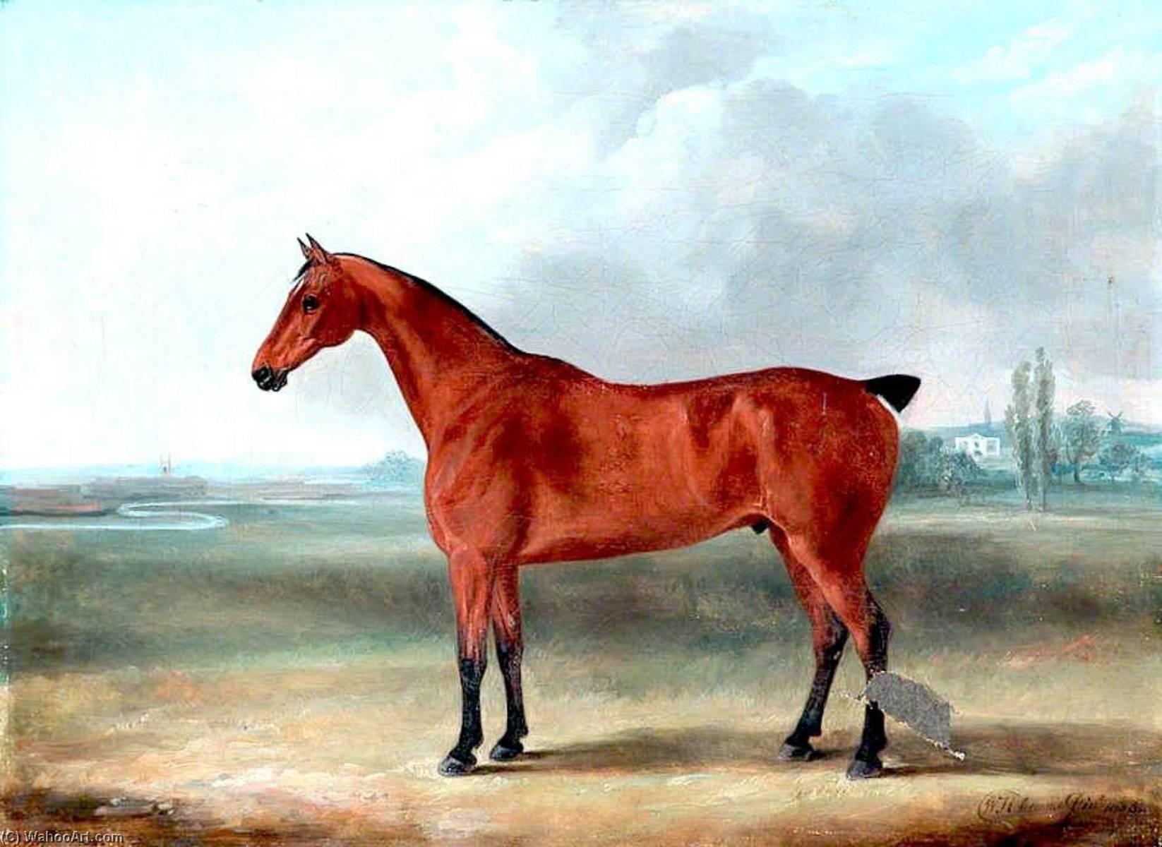 Pedir Reproducciones De Arte Caballo, 1835 de William Henry Davis (1833 ...