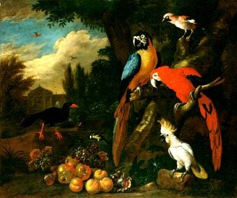 Museum Art Reproductions , 2009 by Jakob Bogdani (1658-1724) | WahooArt.com