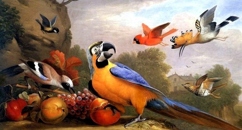 Obtenir Reproductions De Qualité Musée , 2009 de Jakob Bogdani (1658 ...