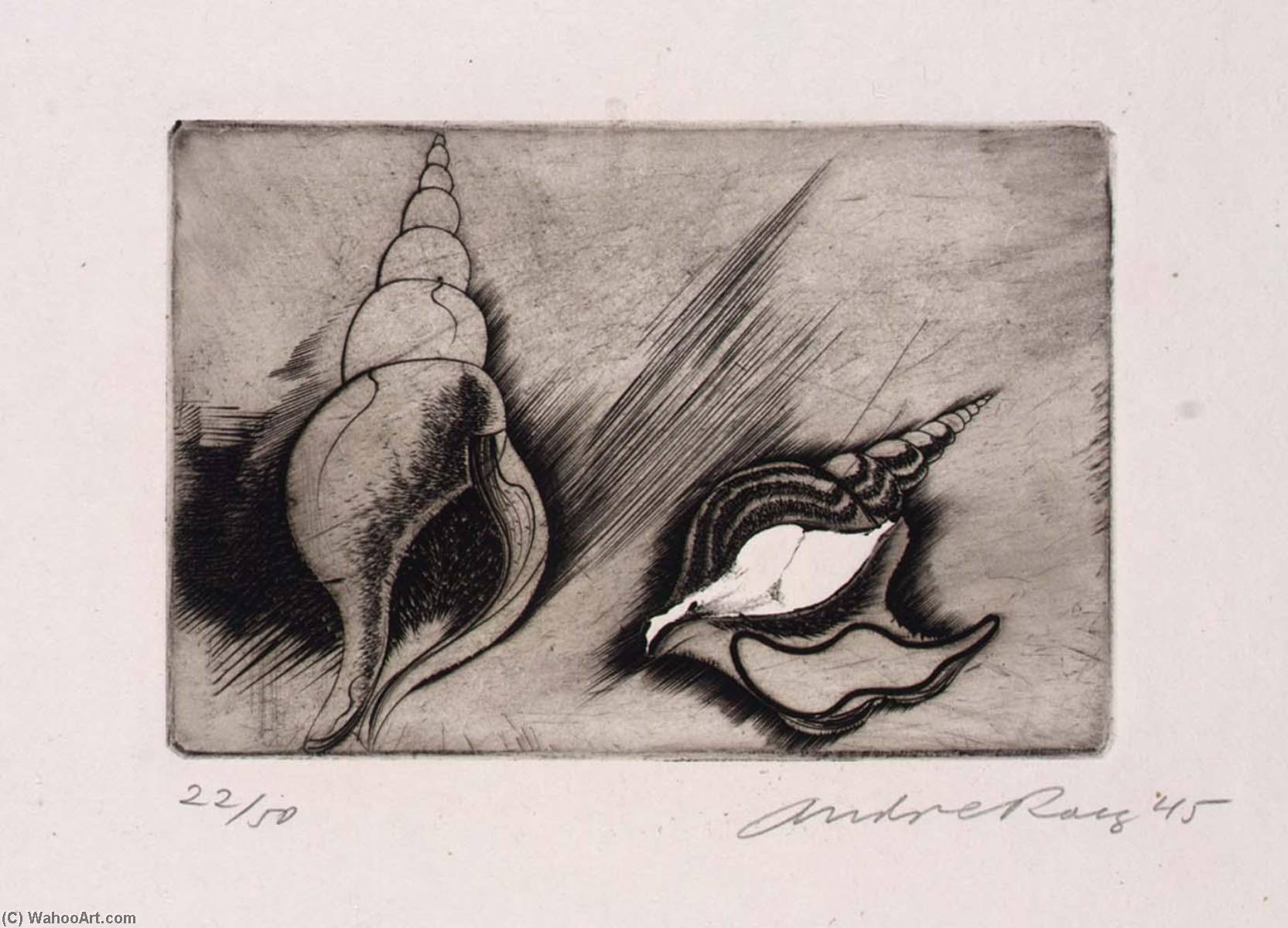 Artwork Replica | Shells, from the portfolio, Reign of Claws, 1945 by ...