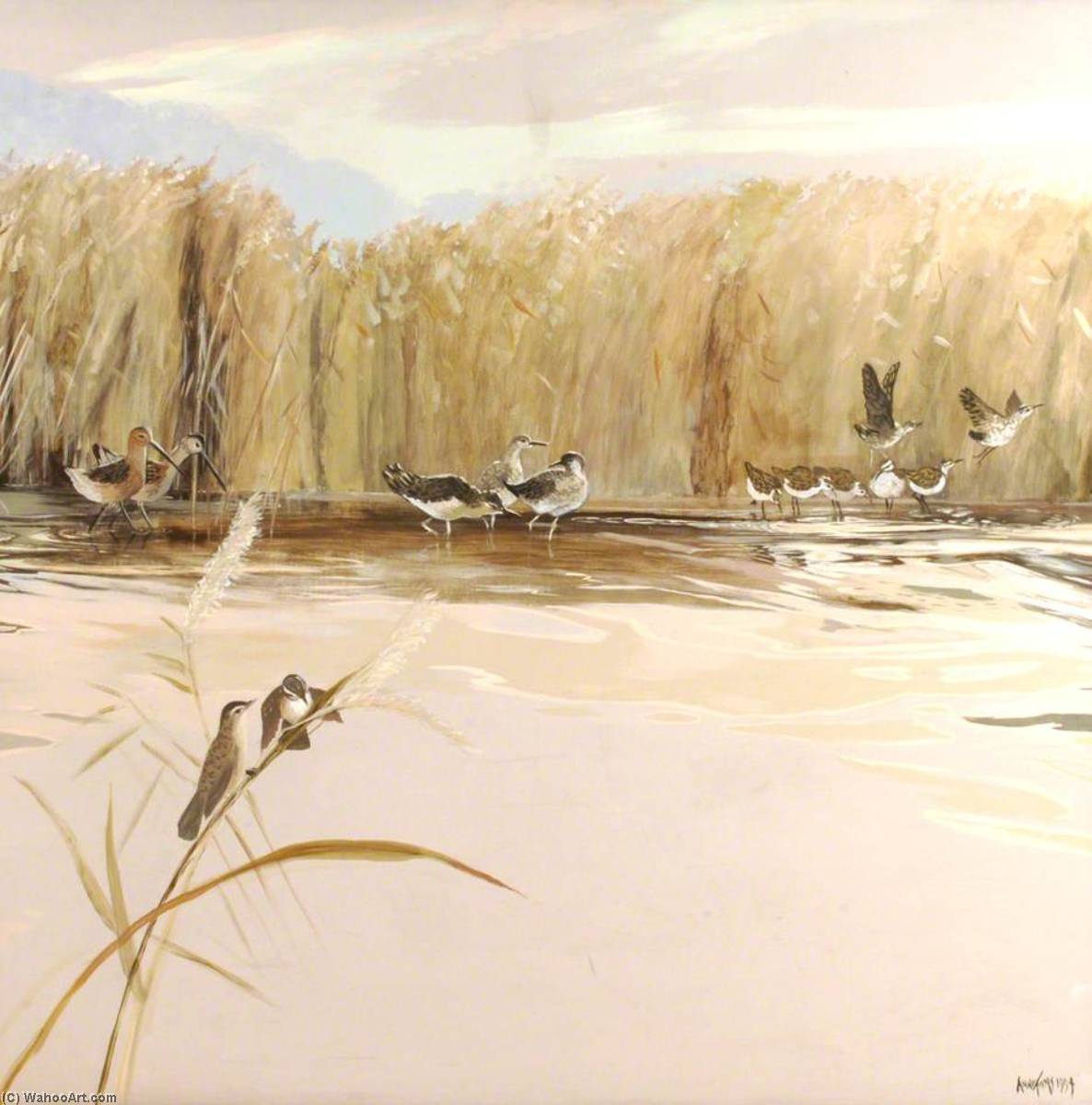 Aves desperdiciantes, 1994 de Anne Toms Anne Toms | WahooArt.com