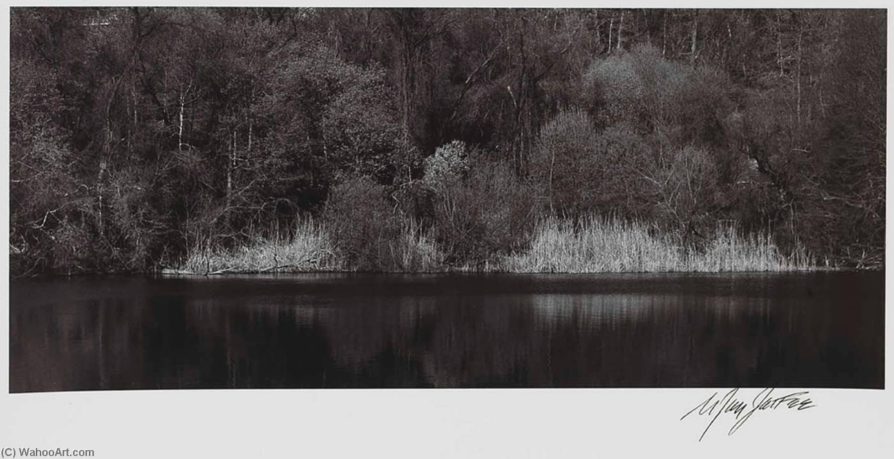 Reproducciones De Pinturas Primavera 2, 1992 de Nathan Jay Jaffee ...