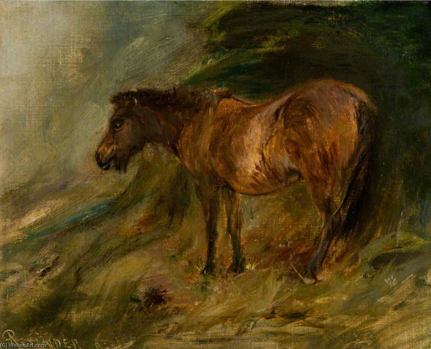 Réplique De Peinture A Bay Pony Sheltering de Robert L Alexander (1840 ...