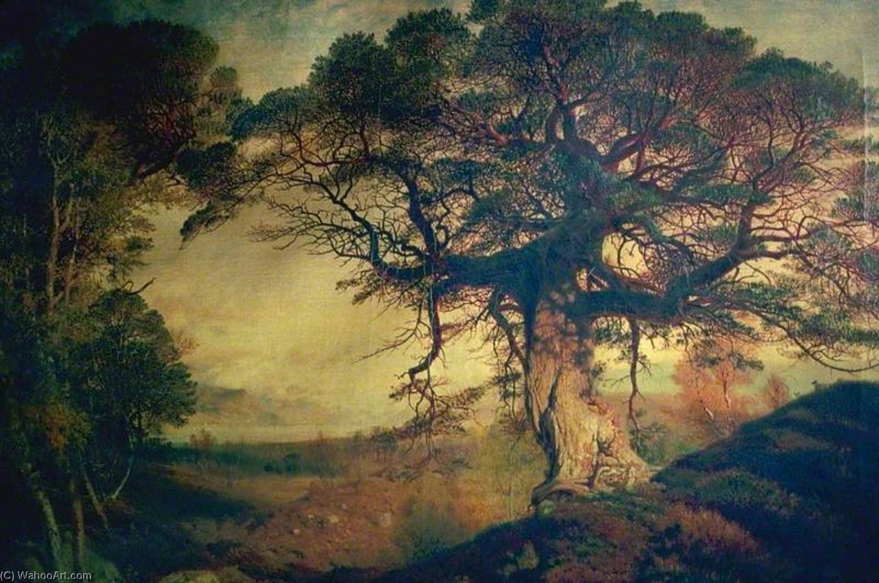 Get Paintings Reproductions Moor of Rannoch, 1868 by Andrew Mccallum ...