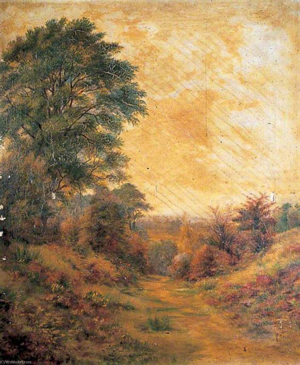 Get Art Reproductions Dartford Heath, Kent by Clement T Youens (1852 ...