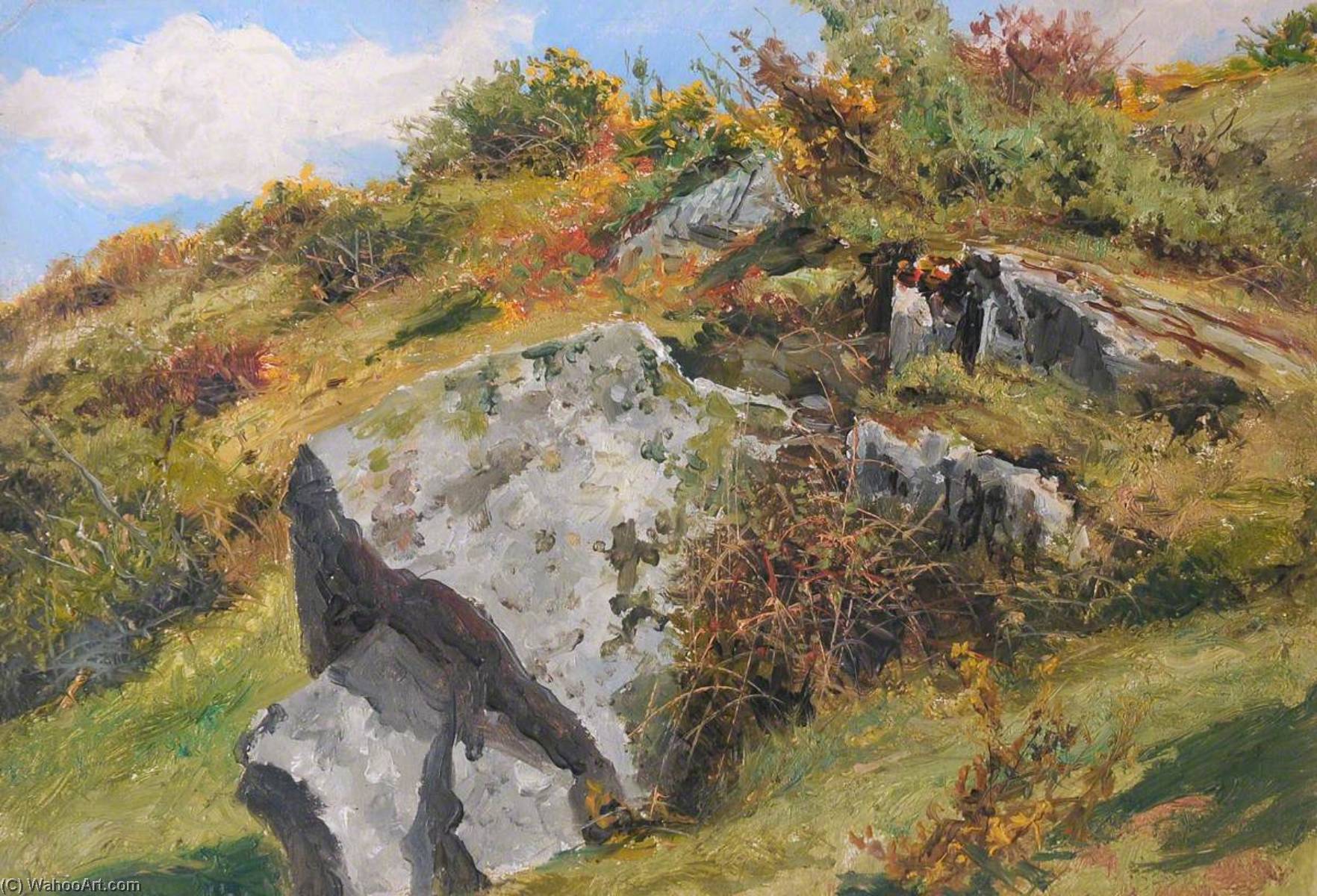 Comprar Reproducciones De Arte Del Museo Rocks, 1883 de Frederick ...