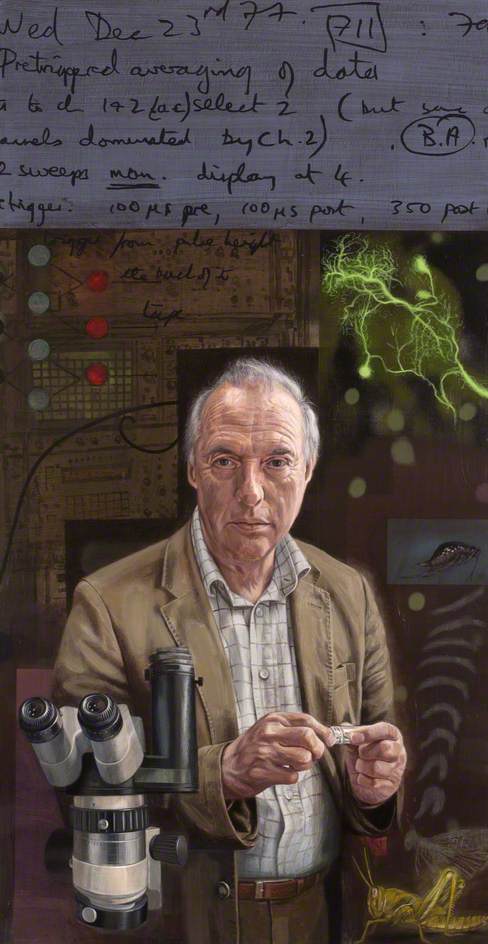 Professeur Malcolm Burrows, FRS, 2010 de Tom Wood Tom Wood | WahooArt.com