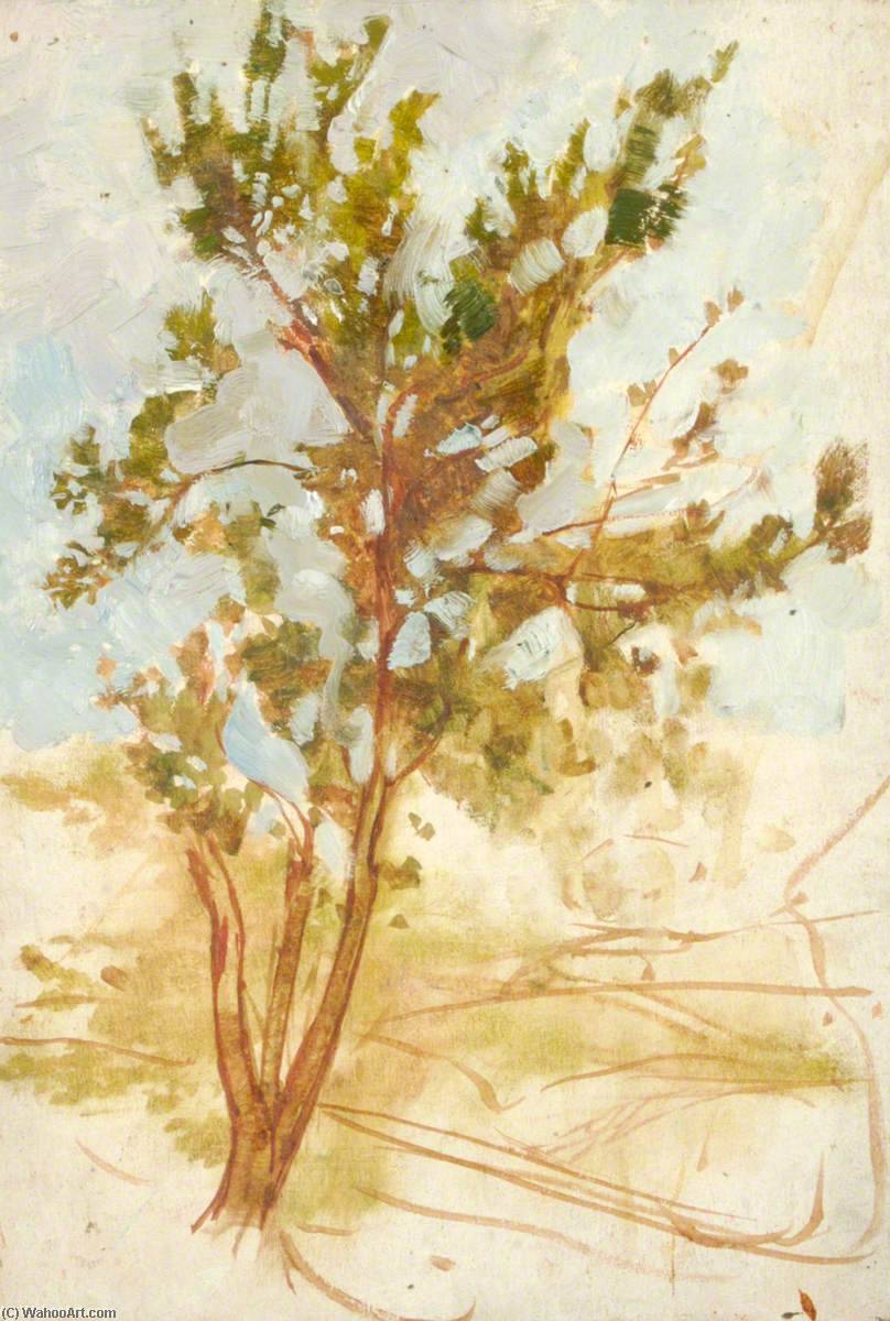 Buy Museum Art Reproductions A Tree by Benjamin Haughton (1865-1924 ...