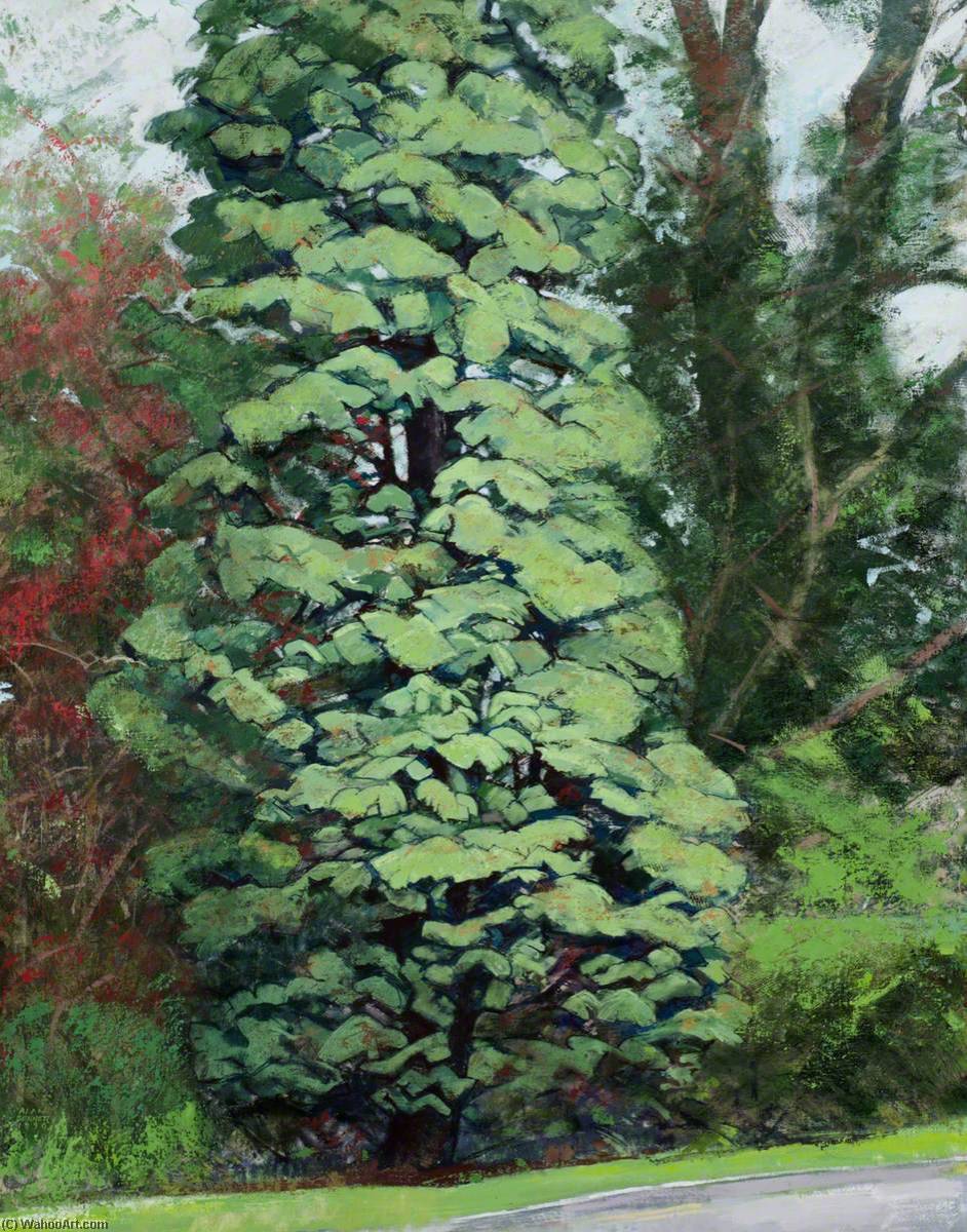 Cupressus, 1989 de Alan Bennett Alan Bennett | WahooArt.com