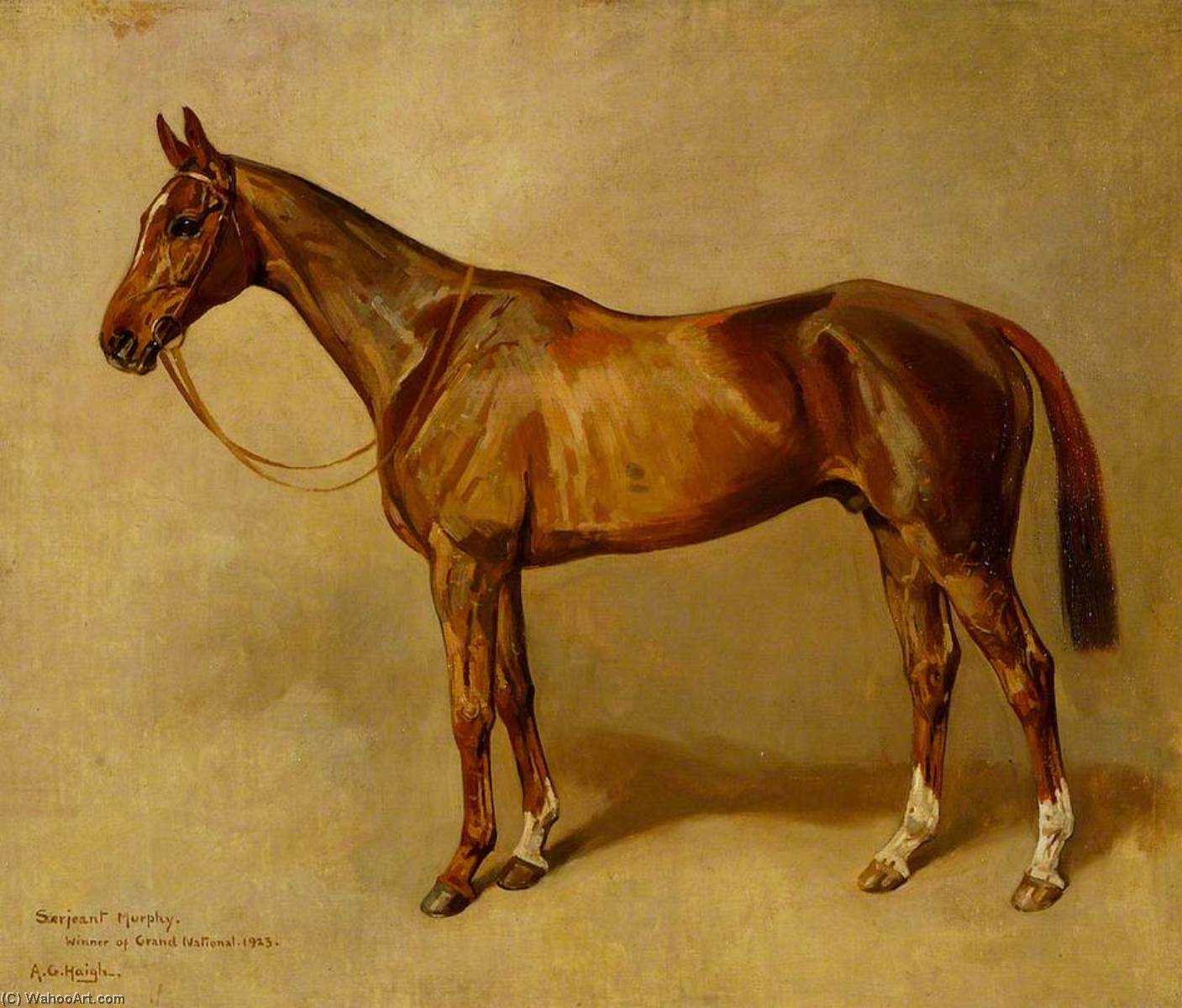 Pedir Reproducciones De Arte Sargento Murphy de Alfred Grenfell Haigh ...