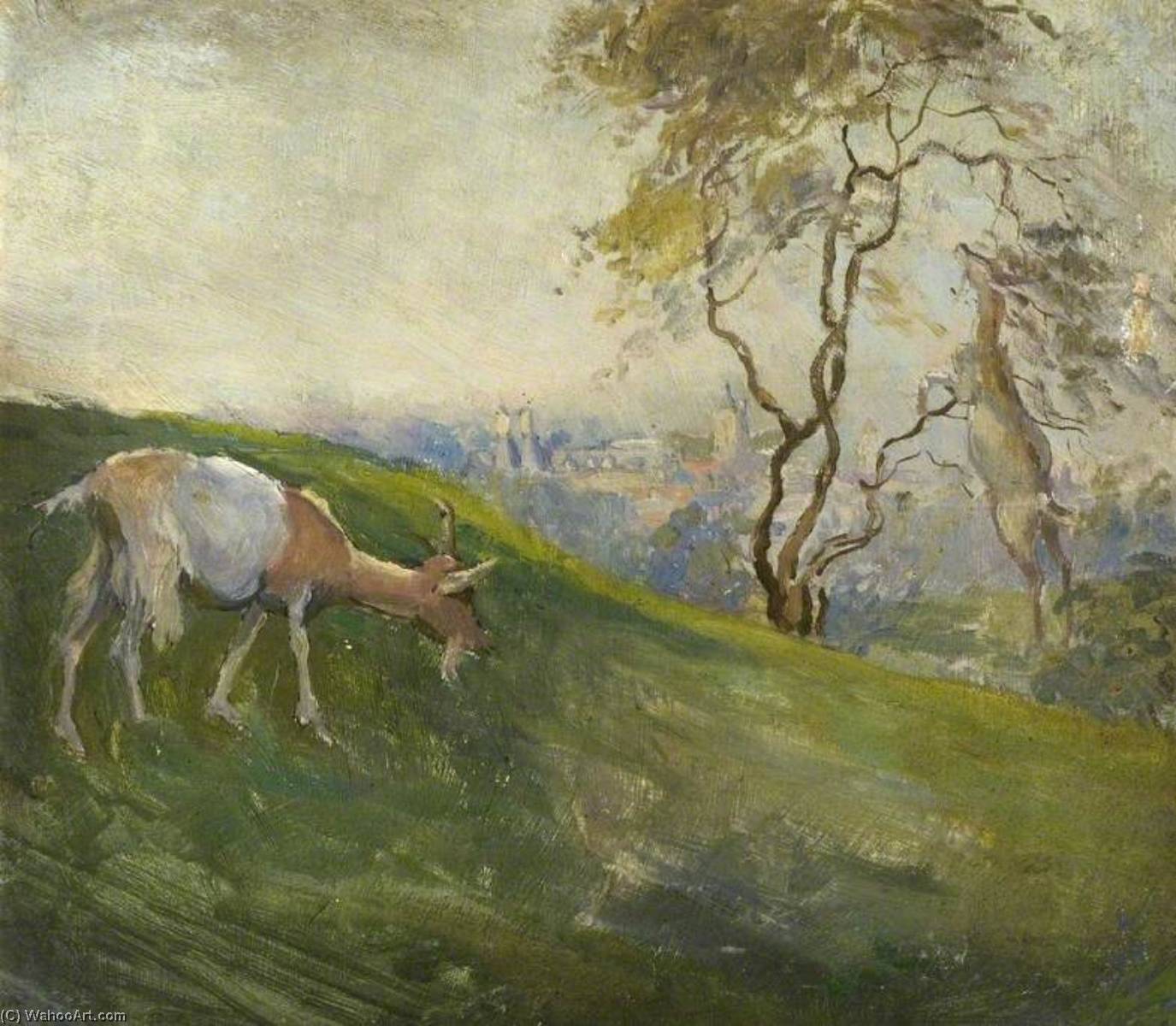 Museu De Reproduções De Arte Goat on a Hillside por Kate Ethel Cowderoy ...