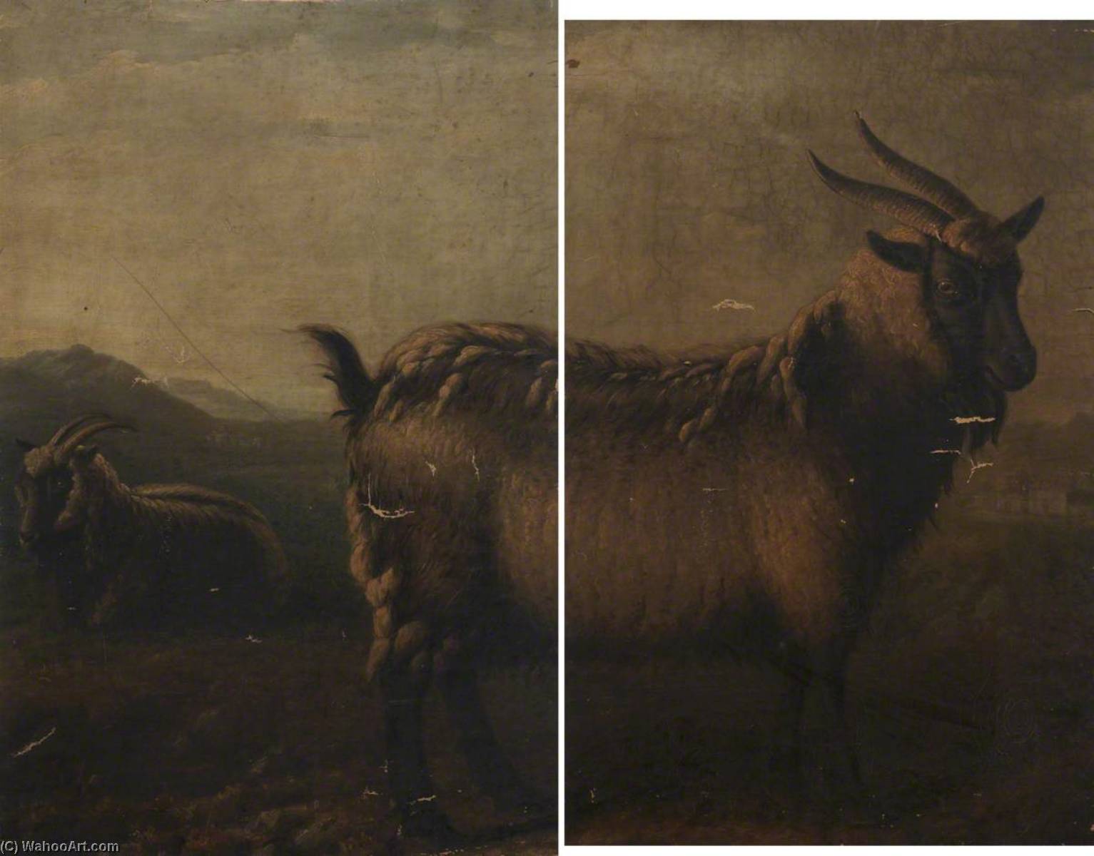 Adquirir Reproduções De Pinturas Brecon e Glamorgan Highland Goats ...