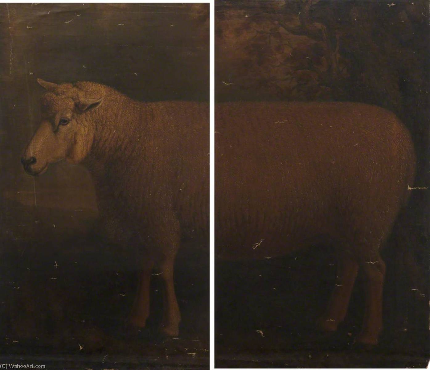 Order Artwork Replica Cotswold Ram (diptych) by William Shiels (1785 ...