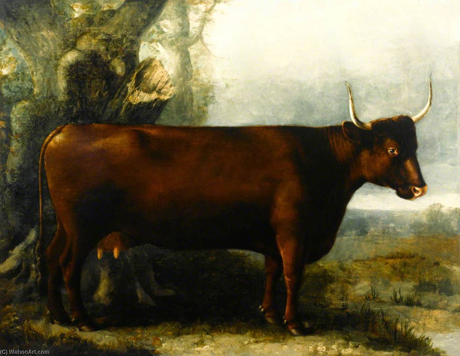 Purchase Oil Painting Replica North Devon Cow by William Shiels (1785 ...