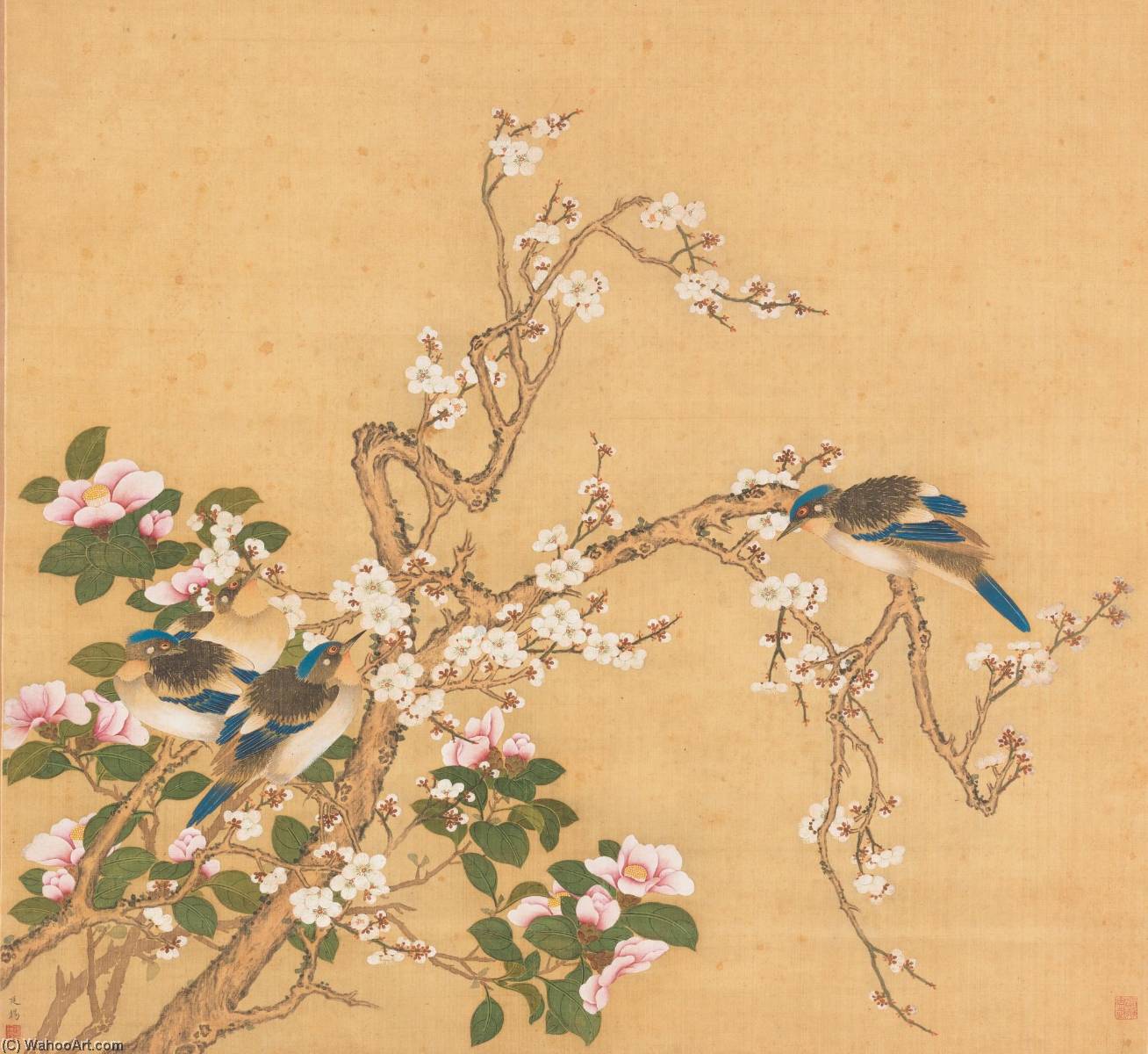 Get Paintings Reproductions FLOWER AND BIRDS by Jiang Tingxi (1669-1732 ...