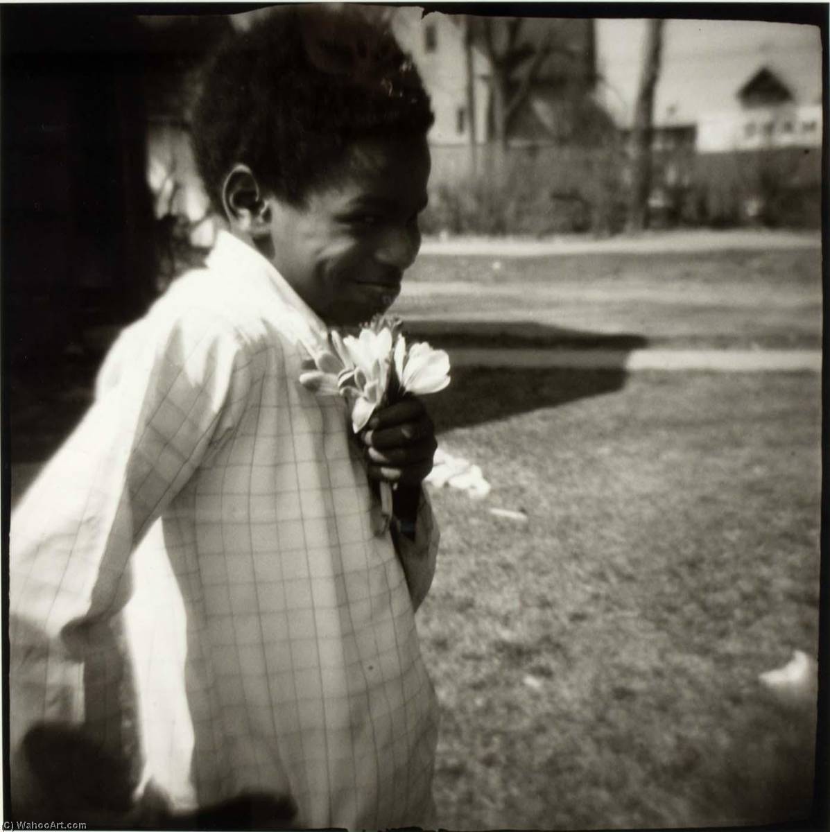 無題(花瓶) バイ Bruce Horowitz Bruce Horowitz | WahooArt.com