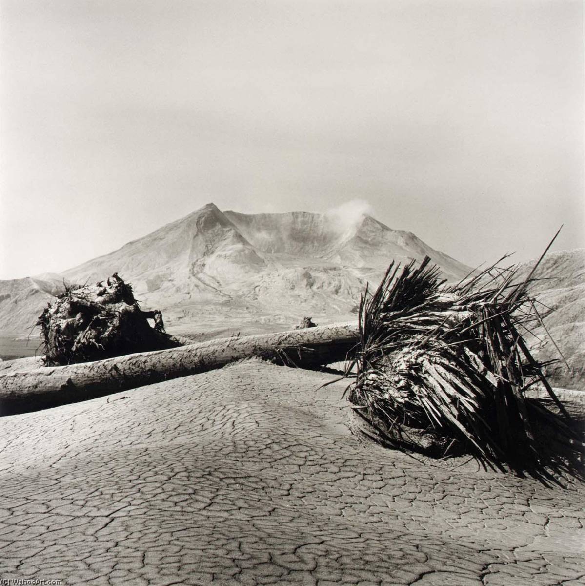 Mount St. Helens, Washington, 1980 by Emmet Gowin Emmet Gowin ...