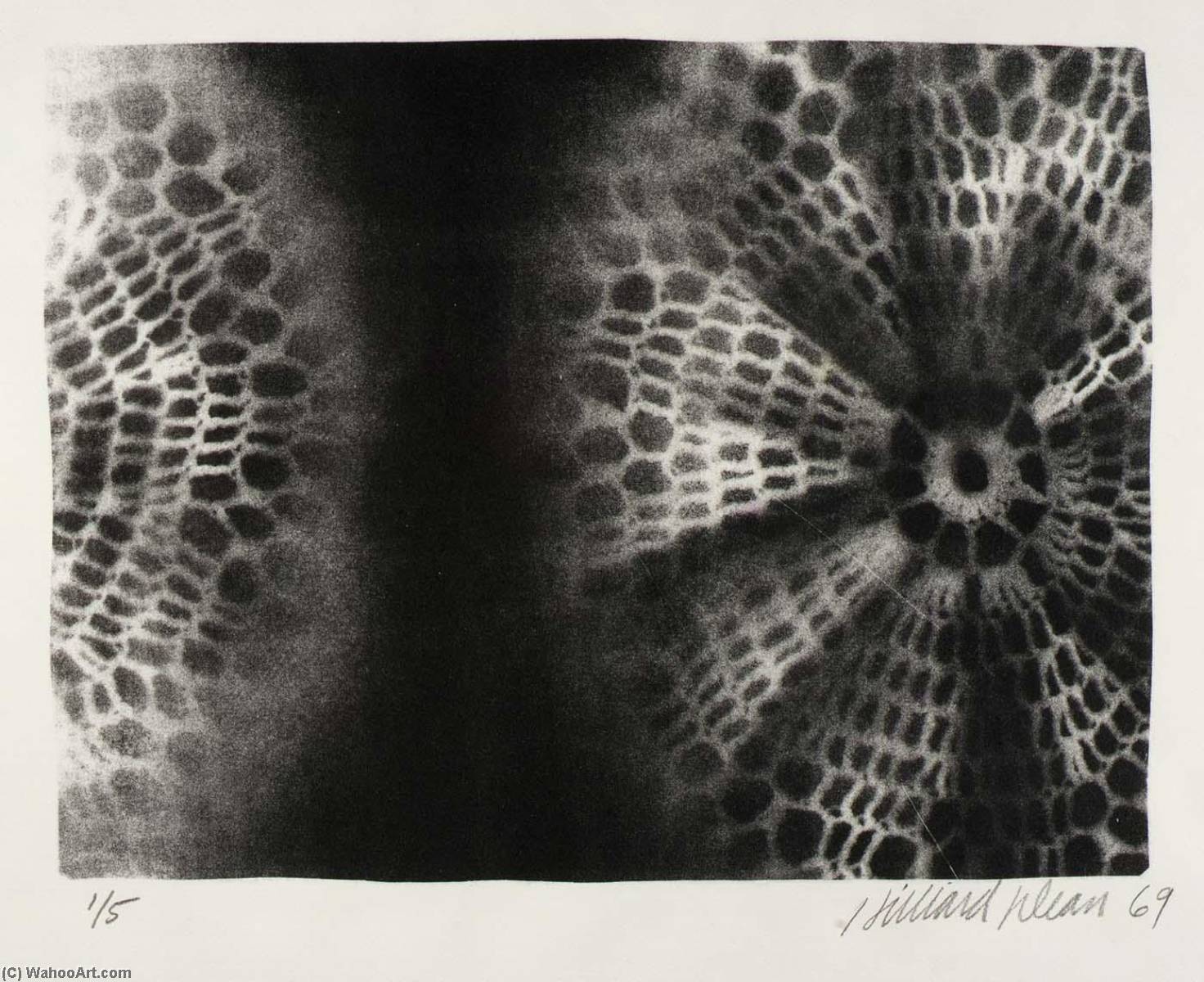 Ohne Titel (C), 1969 von Hilliard Dean Hilliard Dean | WahooArt.com