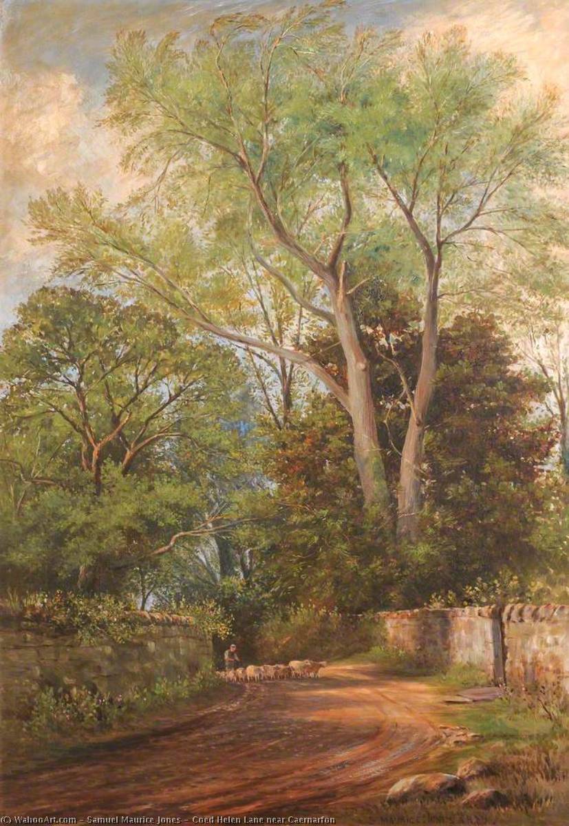 Buy Museum Art Reproductions Coed Helen Lane near Caernarfon by Samuel ...