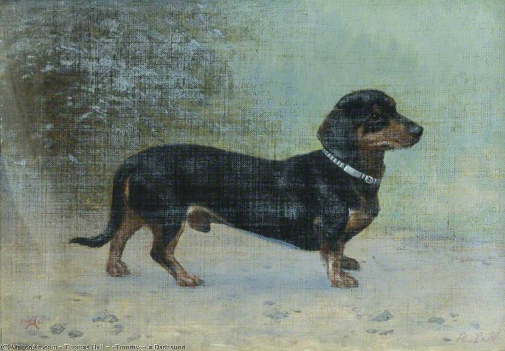 `Tommy`, un Dachsund, 1910 de Thomas Hall Thomas Hall | WahooArt.com