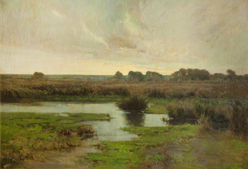 Gravura De Qualidade De Museu Marshland, 1903 por Frederick Milner ...