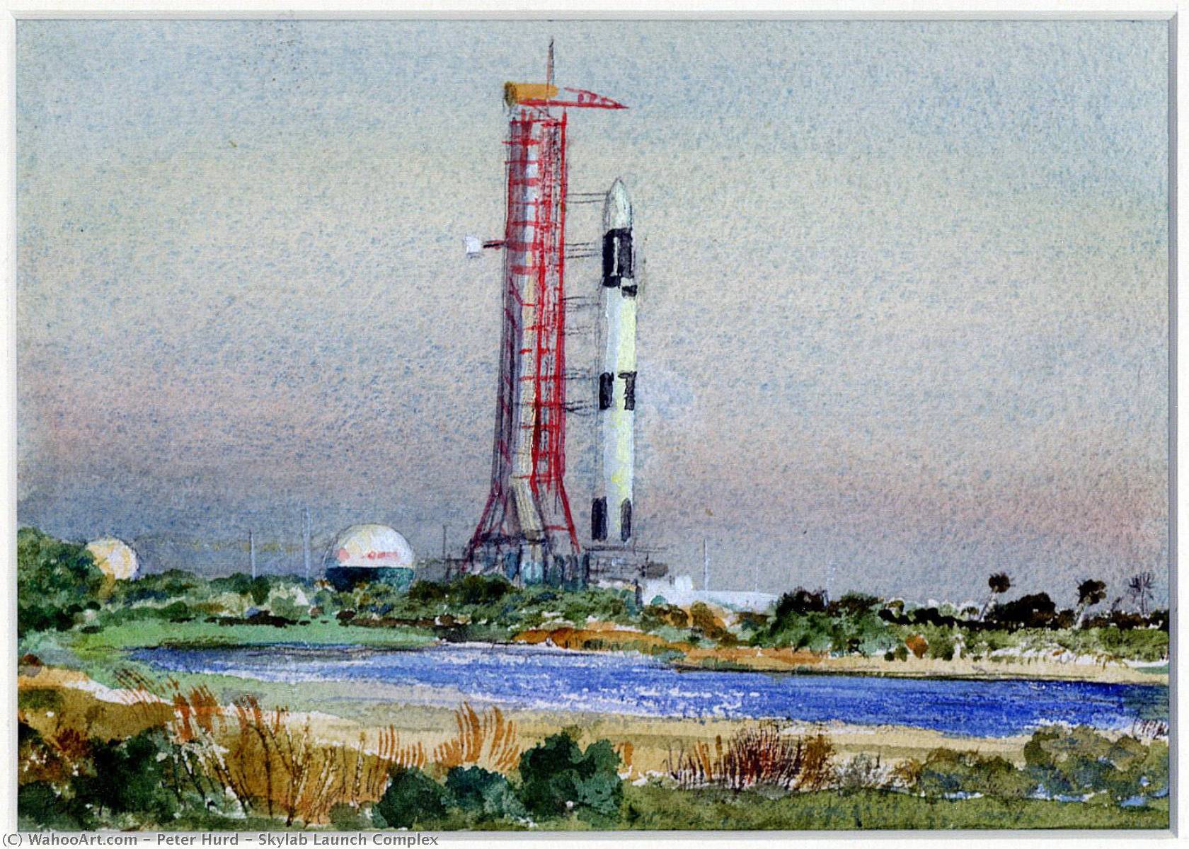 Purchase Oil Painting Replica Skylab Launch Complex by Peter Hurd ...