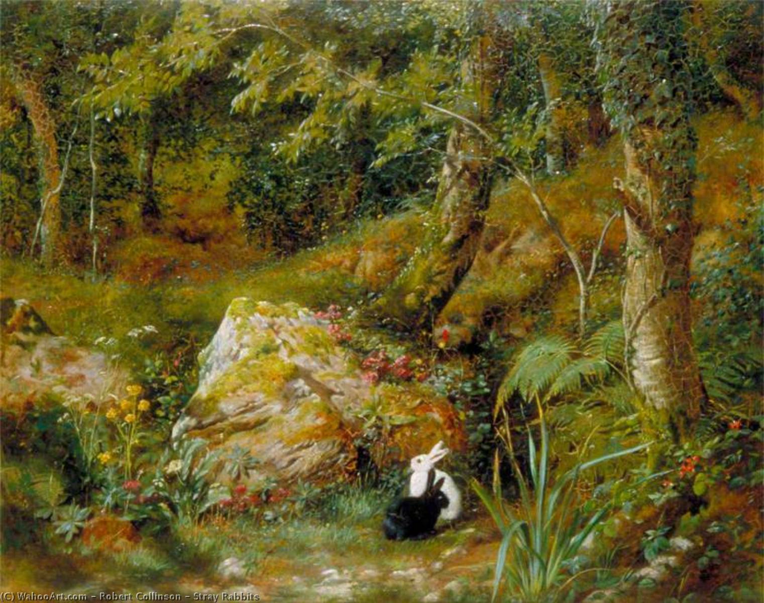 Stray Rabbits, 1857 por Robert Collinson Robert Collinson | WahooArt.com