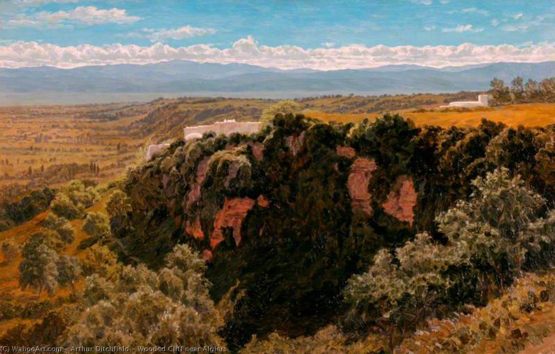 Wooded Cliff near Algiers, 1873 by Arthur Ditchfield Arthur Ditchfield ...