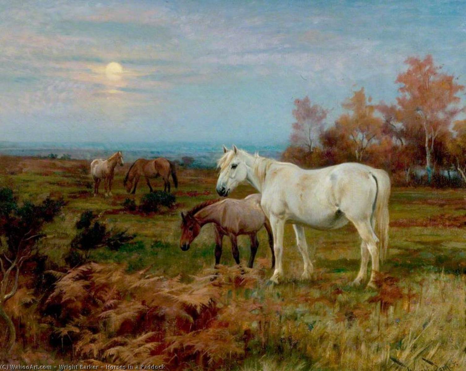 Get Paintings Reproductions Horses in a Paddock by Wright Barker (1864 ...