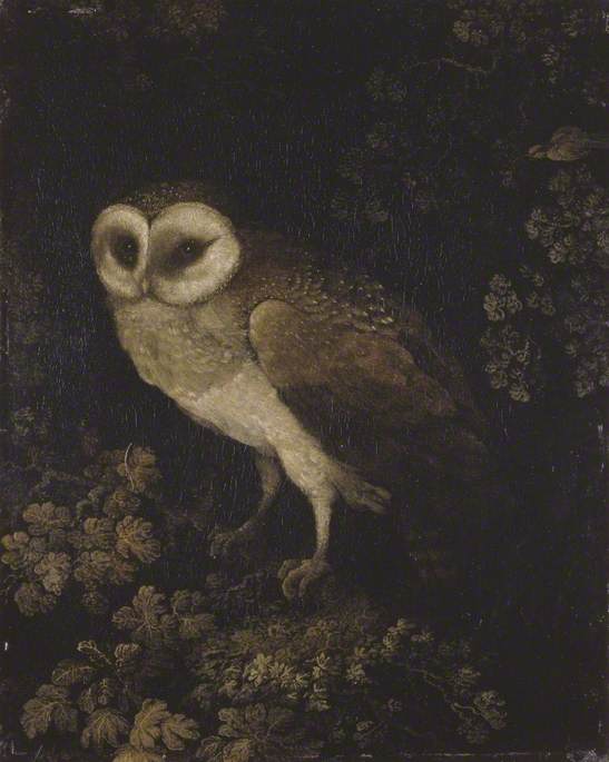 Uma coruja, 1790 por Moses Haughton The Elder Moses Haughton The Elder ...