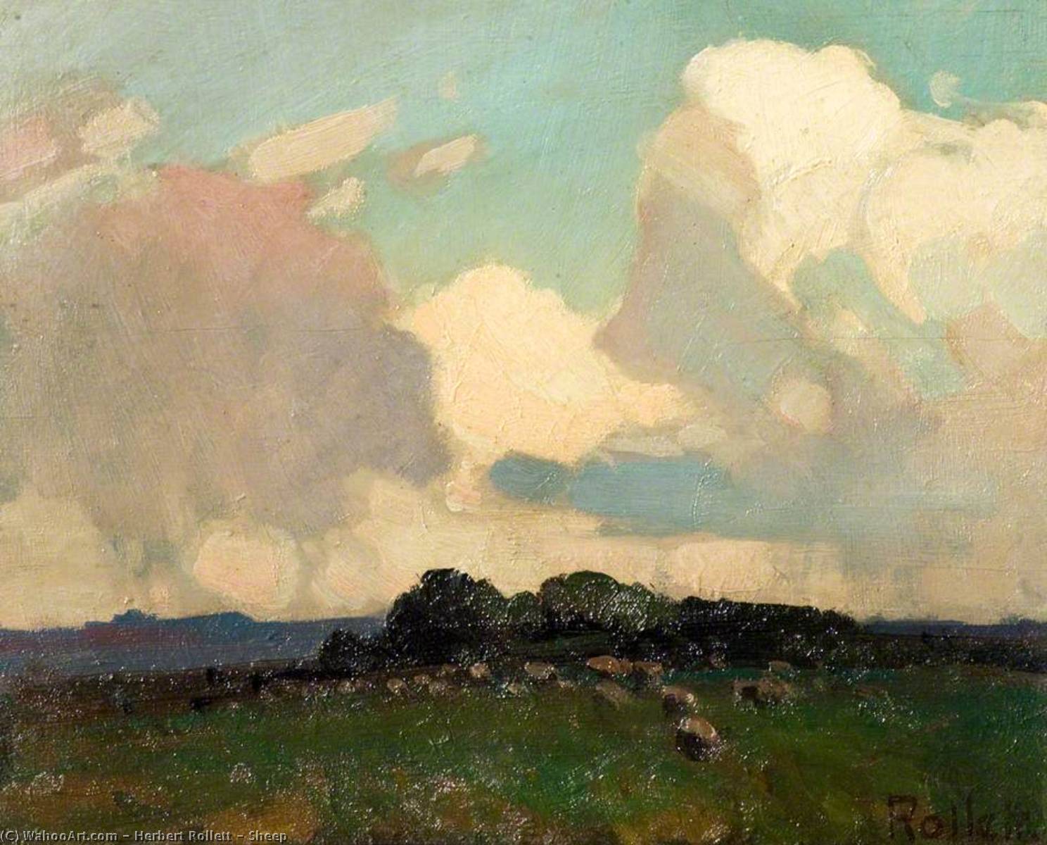 Reproductions D'art Moutons de Herbert Rollett (1872-1932) | WahooArt.com
