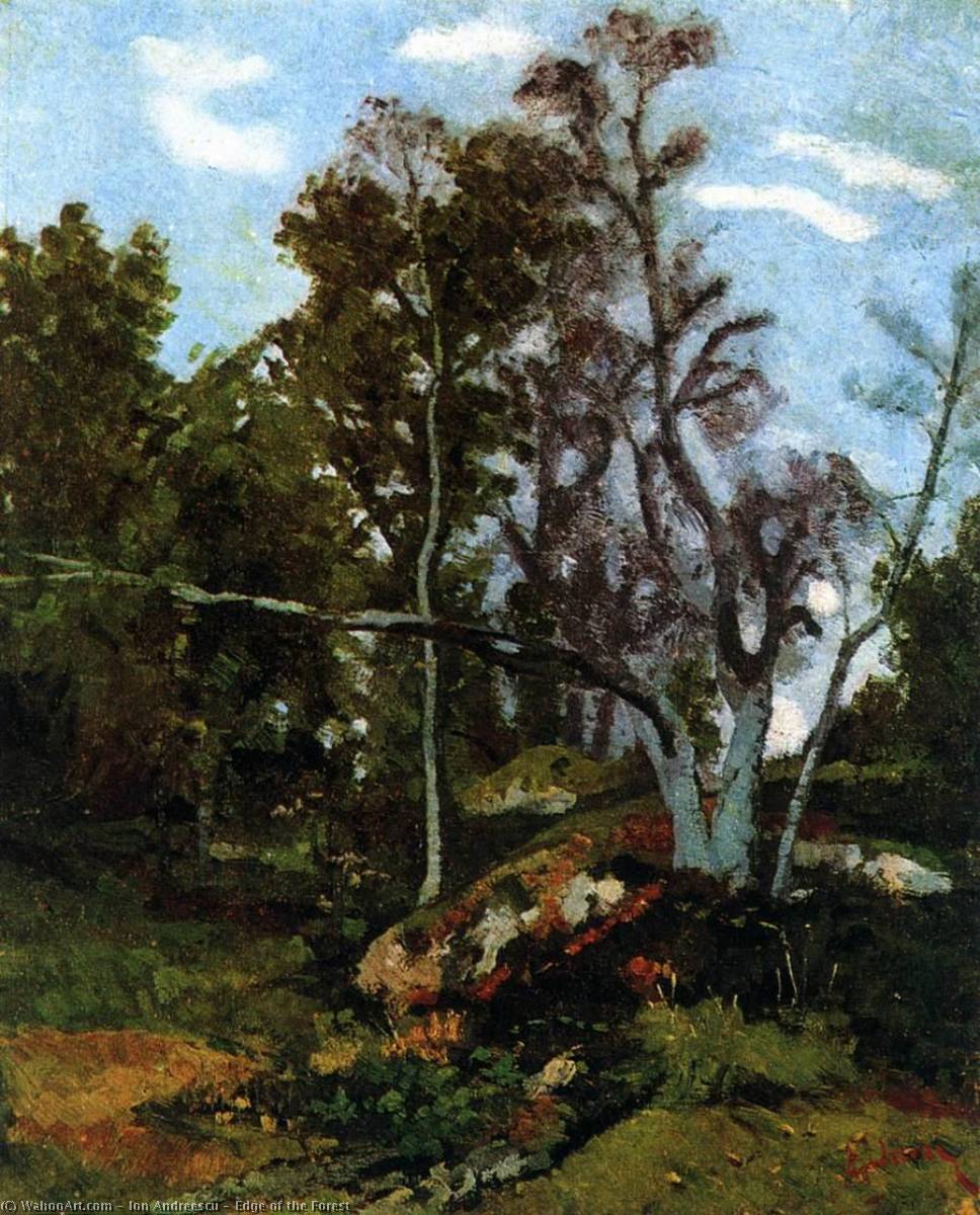 Pedir Reproducciones De Arte Edge of the Forest, 1880 de Ion Andreescu ...