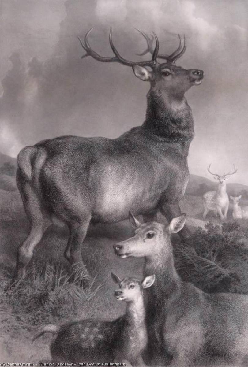 Wild Deer at Chillingham, 1869 by Thomas Landseer Thomas Landseer ...