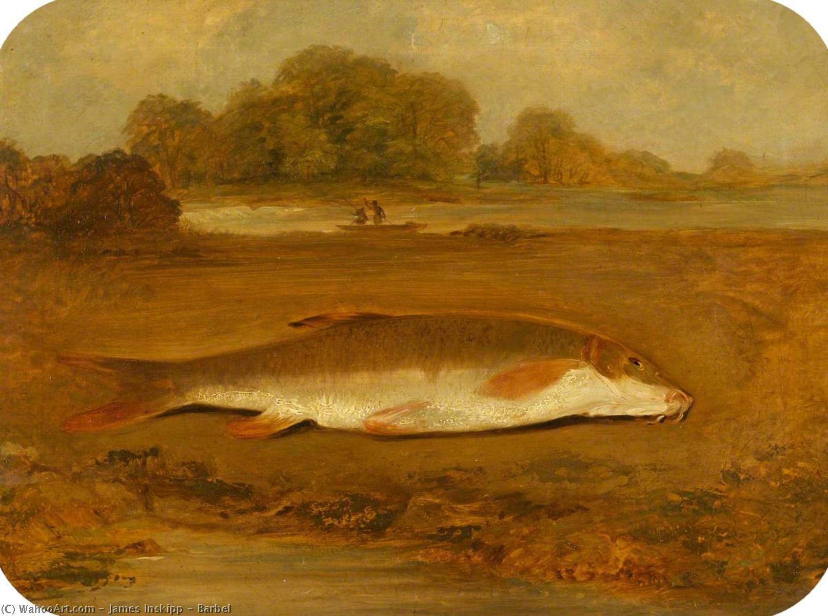 Museum Art Reproductions Barbel by James Inskipp (1790-1868) | WahooArt.com