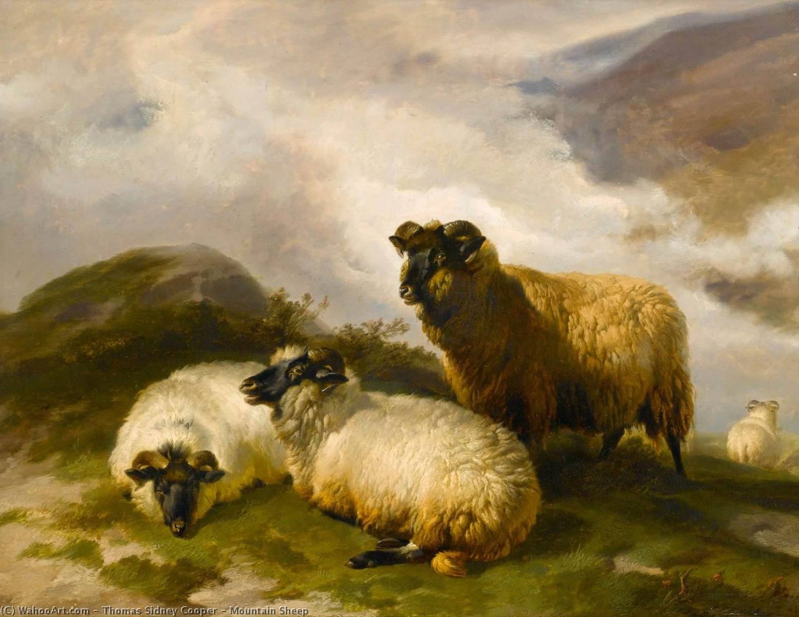 Reproductions De Qualité Musée Moutons de montagne, 1845 de Thomas ...