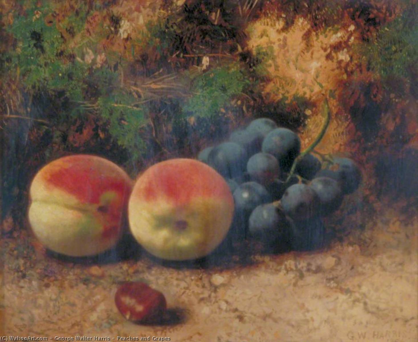 Peaches and Grapes, 1864 by George Walter Harris George Walter Harris ...