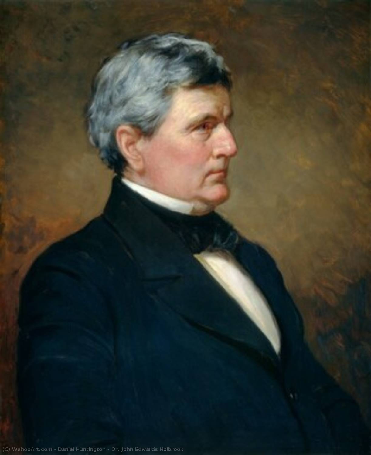 Order Artwork Replica Dr. John Edwards Holbrook, 1857 by Daniel Huntington (1816-1906, United ...