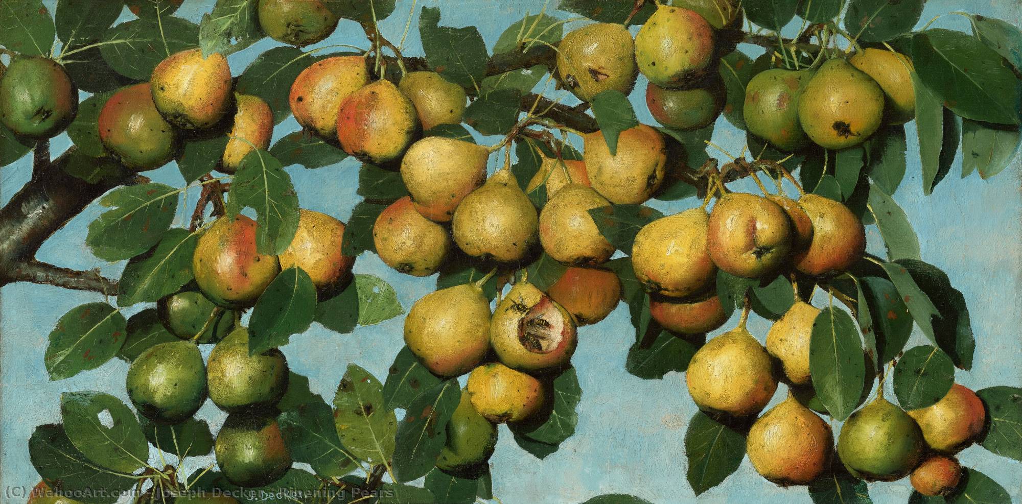 Museum Art Reproductions Ripening Pears, 1885 by Joseph Decker (1853 ...