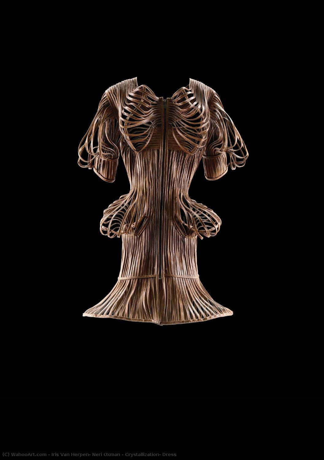 Crystallization, Dress, 2010 by Iris Van Herpen, Neri Oxman Iris Van ...