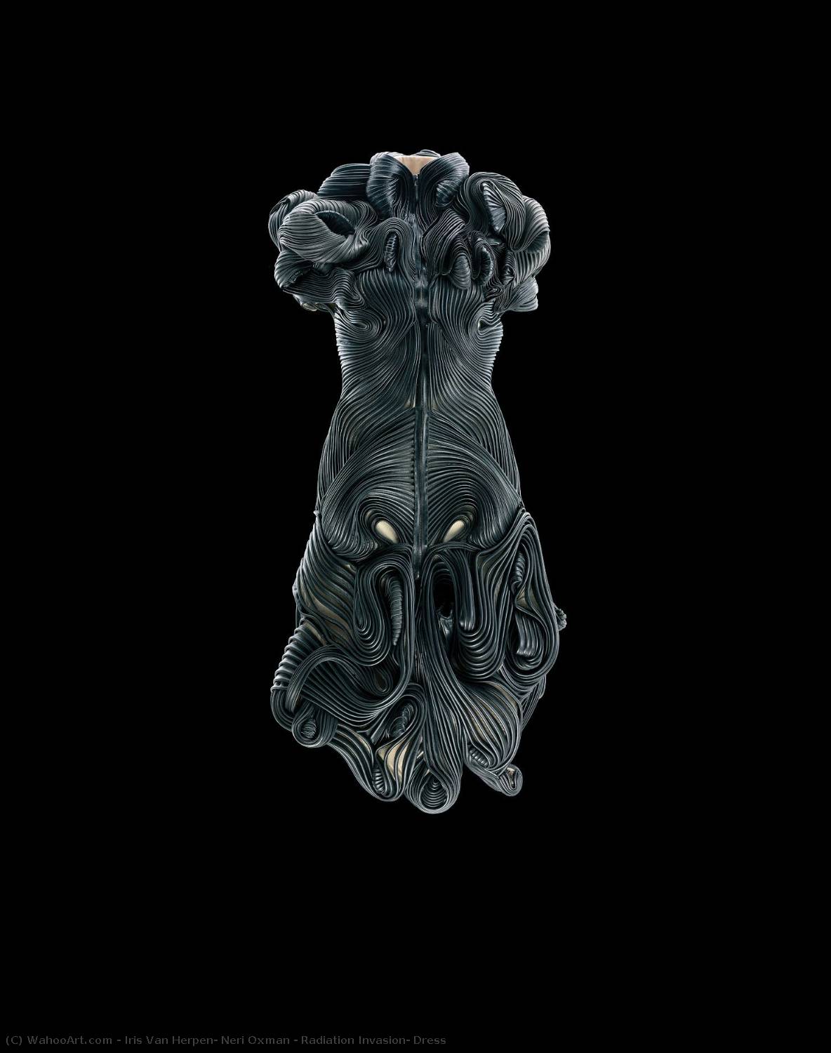 Radiation Invasion, Dress, 2009 by Iris Van Herpen, Neri Oxman Iris Van ...