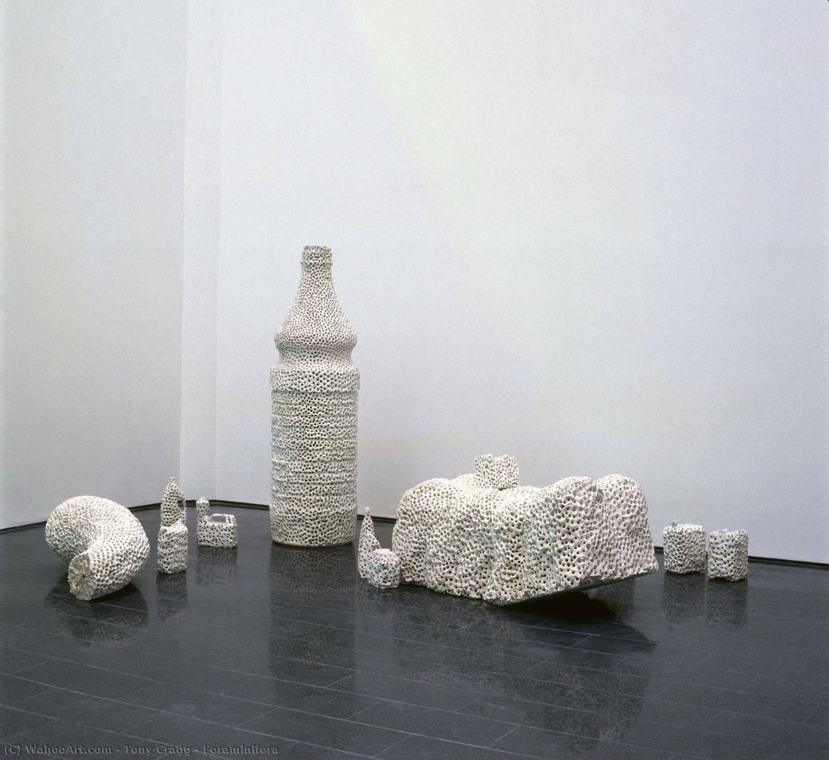 Foraminifera by Tony Cragg Tony Cragg | WahooArt.com