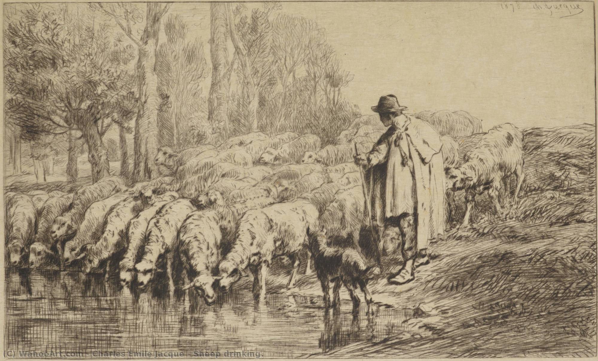 Reproduções De Pinturas Beber ovelhas., 1878 por Charles Émile Jacque ...
