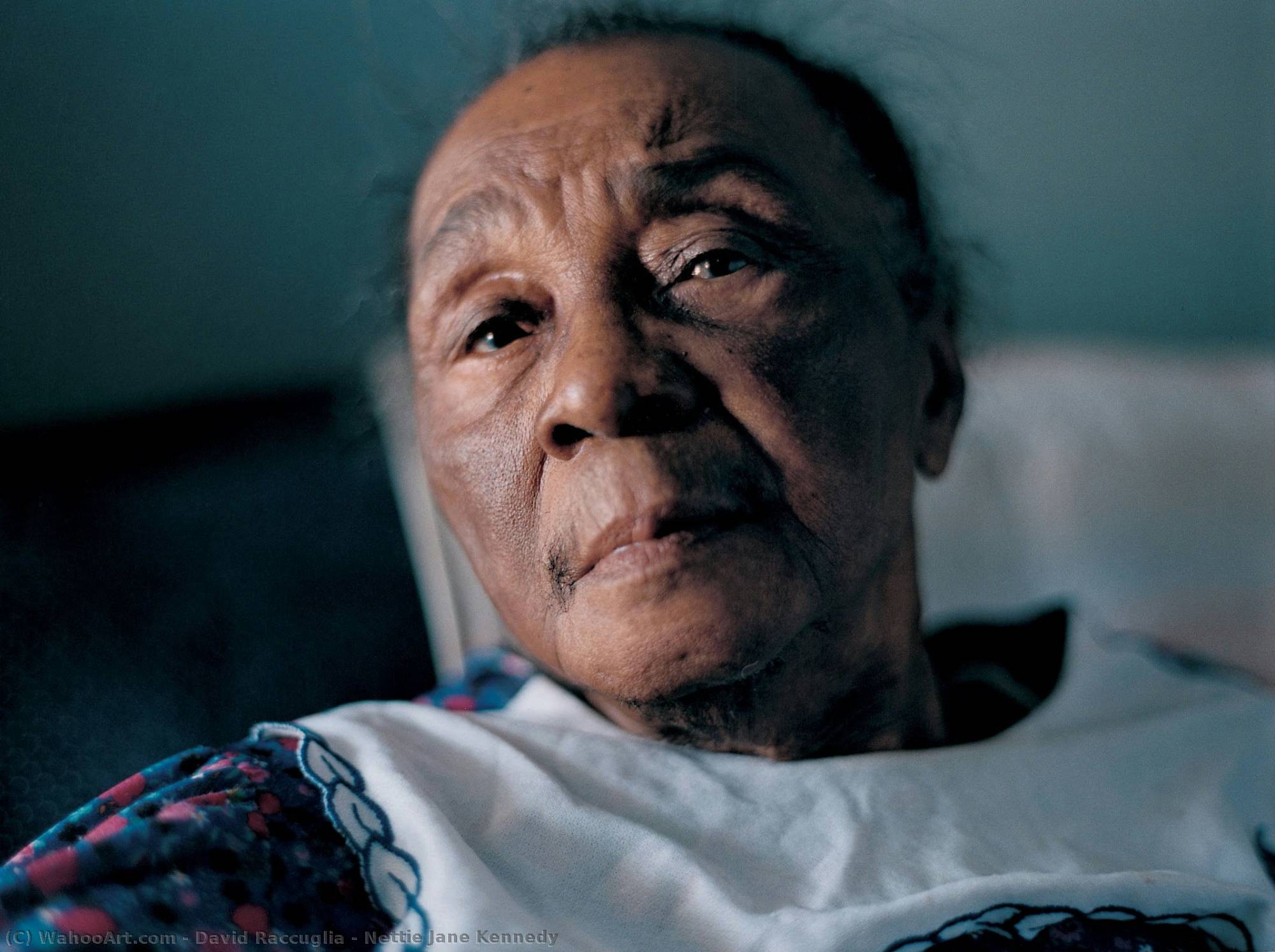 Nettie Jane Kennedy, 2000 de David Raccuglia David Raccuglia | WahooArt.com